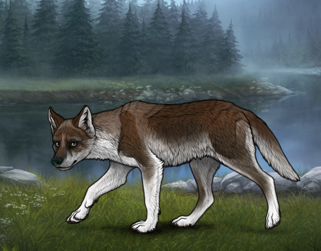 Chaser G4 T2 4m |:| Wolvden