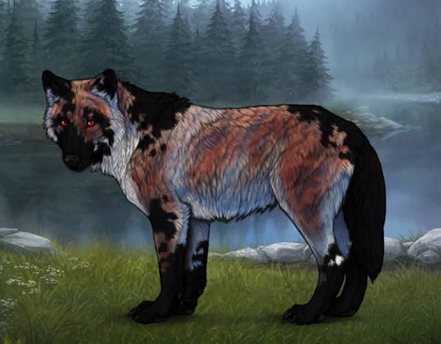 Patches: Pointed |:| Wolvden