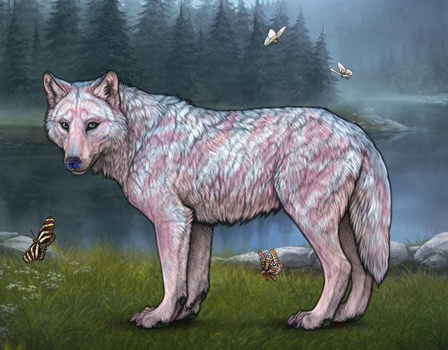 G5 Opal🌙 |:| Wolvden