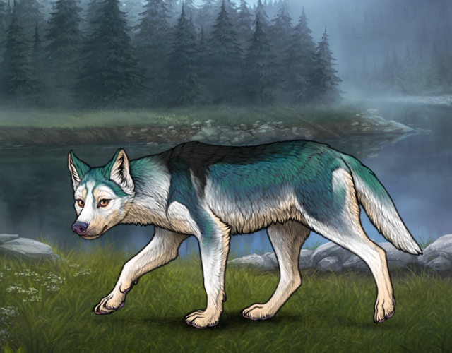 New Puppy |:| Wolvden