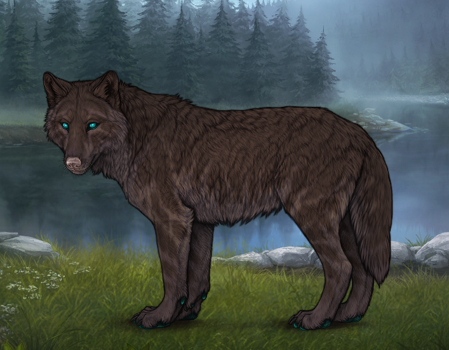 Loall (Scout) |:| Wolvden