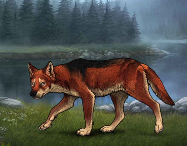 New Runt Puppy |:| Wolvden