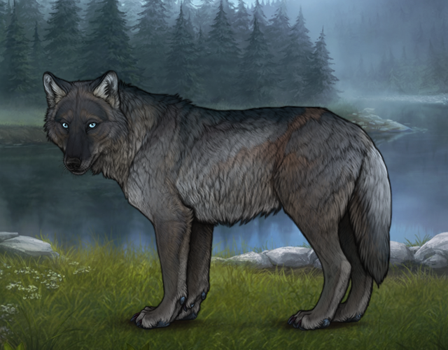 G2 Grulla Female |:| Wolvden