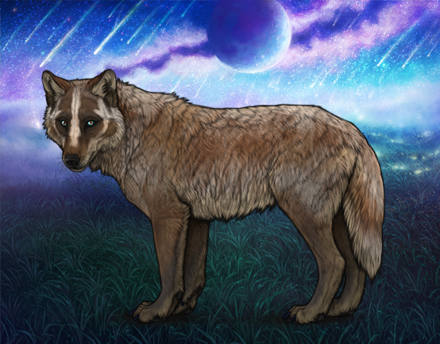 g3 badger - sell |:| Wolvden