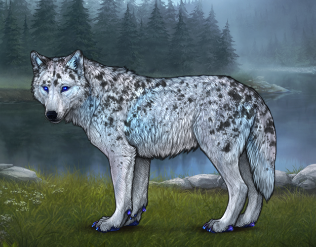 Chased Wolf Spotting - Revamped |:| Wolvden