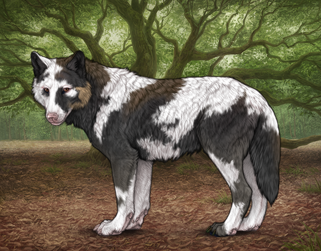 Pebble Next To Boulder |:| Wolvden