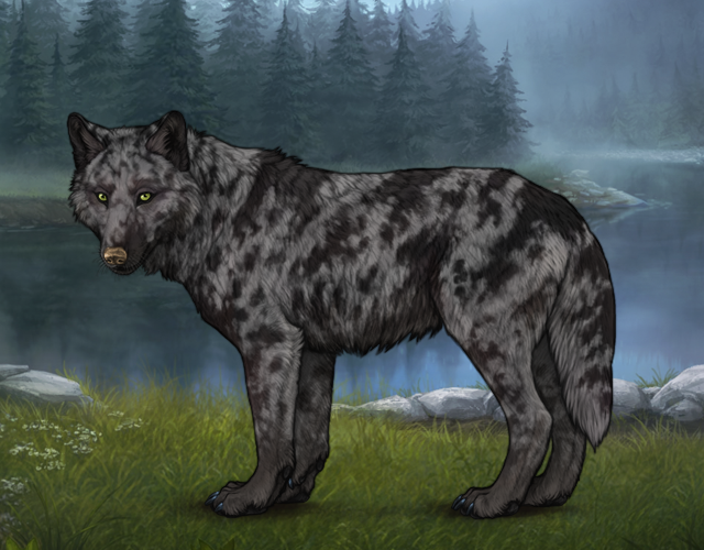 2 merle KEEP |:| Wolvden