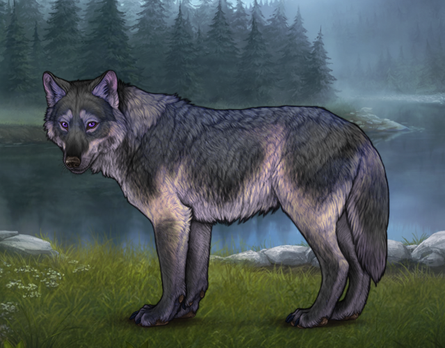 Starlight |:| Wolvden