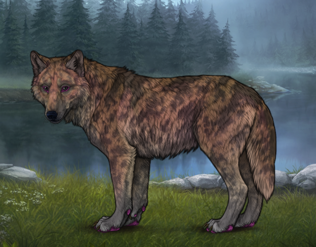 Six Geese |:| Wolvden