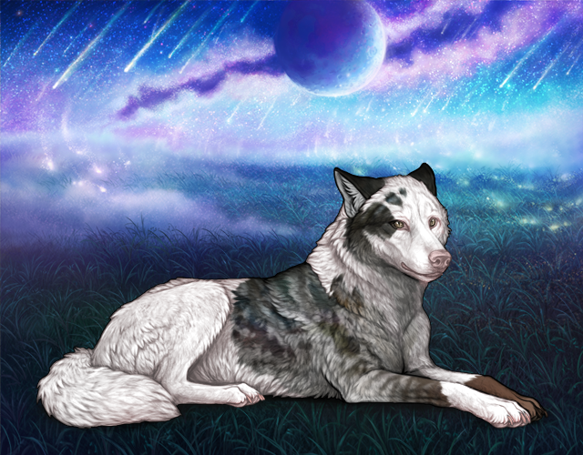 ! RETIREMENT PRICE DROP ! 🌿FENNETH🌿 | nbw | piebald dip | t3 apex base ...