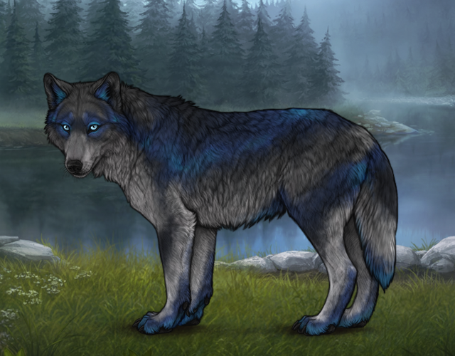 G5 T2 3m female |:| Wolvden