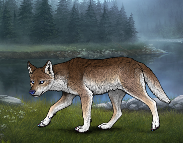 G1 M T2 (Vanilla) 6M |:| Wolvden