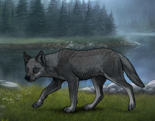 T1 4M |:| Wolvden