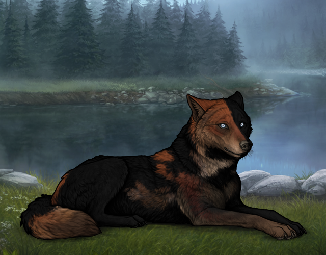 Placeholder |:| Wolvden