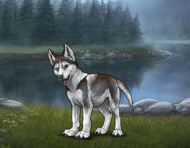 Pretty | 6m | rare |:| Wolvden