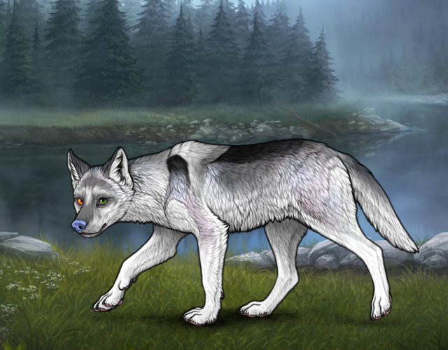 Skull Face |:| Wolvden