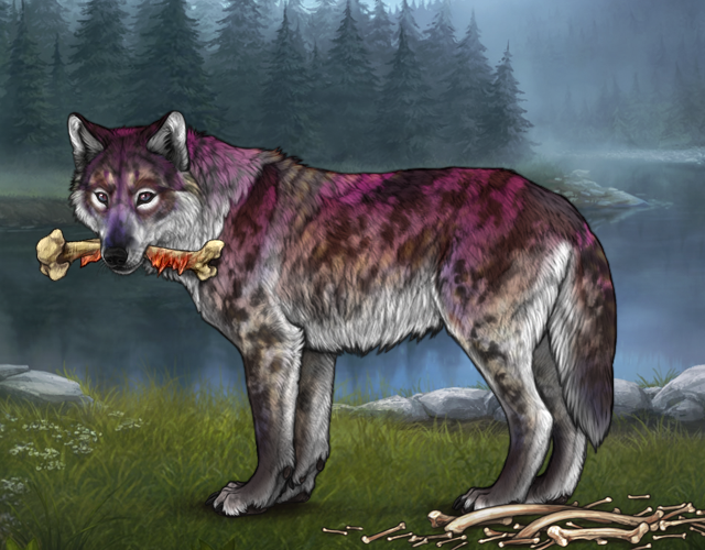 T1 7m F, Hurricane Eyes |:| Wolvden