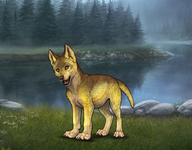 New Befriended Wolf |:| Wolvden