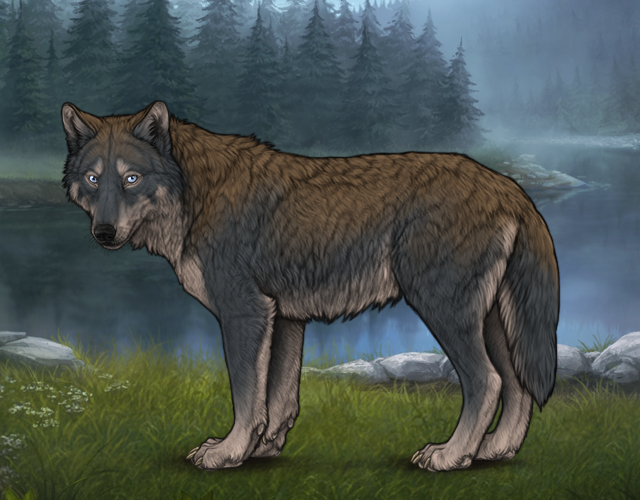 Wolf |:| Wolvden