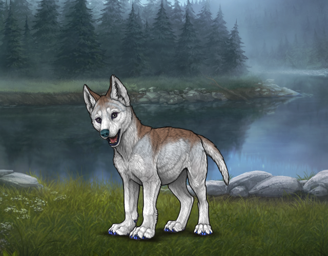 G2 Tempest 5m 465s |:| Wolvden