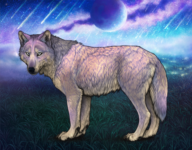 Klimmek | C |:| Wolvden