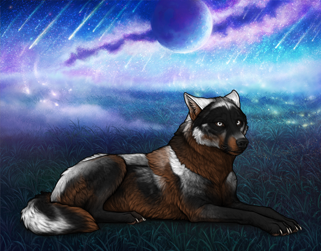 Show off your fav wolves! |:| Wolvden