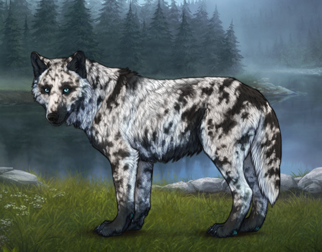 Polar Light |:| Wolvden