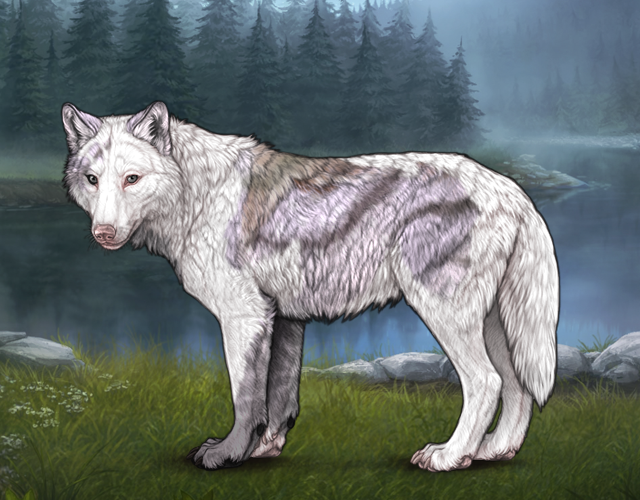 G2 Dip F 6m |:| Wolvden