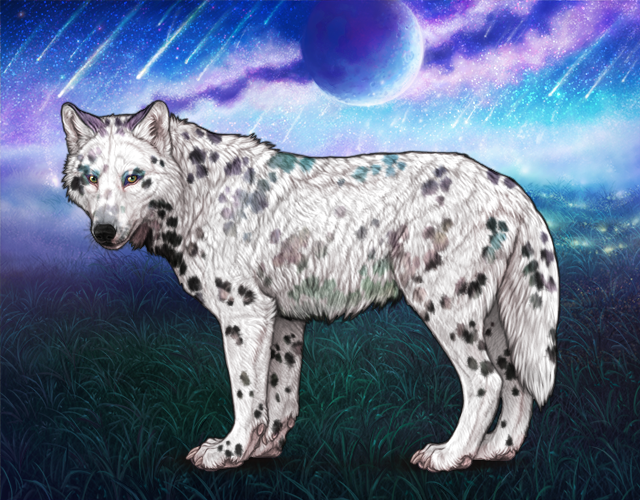 ⚪ Melch. T2 6m 434 🔥 DAL |:| Wolvden