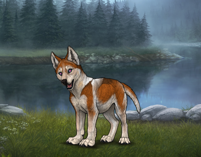 New Runt Puppy |:| Wolvden