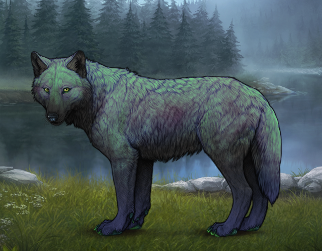 Biotite G4 |:| Wolvden