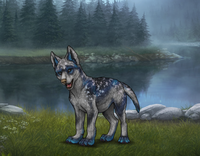 New Puppy |:| Wolvden