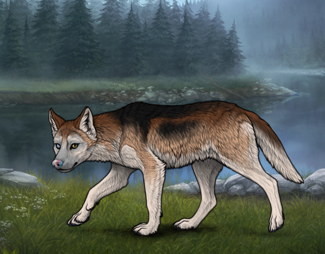 New Runt Puppy |:| Wolvden