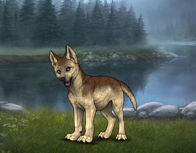 Turquoise G4 |:| Wolvden