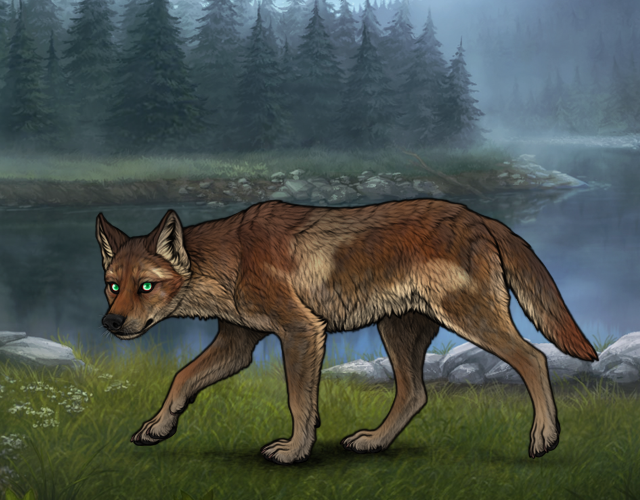 Hornfels M 7m |:| Wolvden