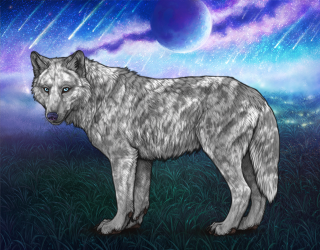 New Befriended Wolf |:| Wolvden