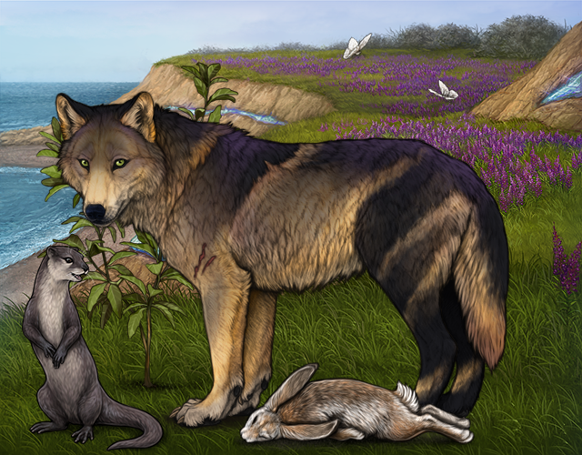 Chased Wolf Spotting - Revamped |:| Wolvden