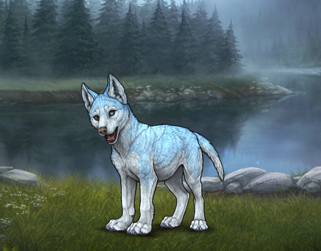 Teardrop III ☾ Ice ☾ G4 |:| Wolvden