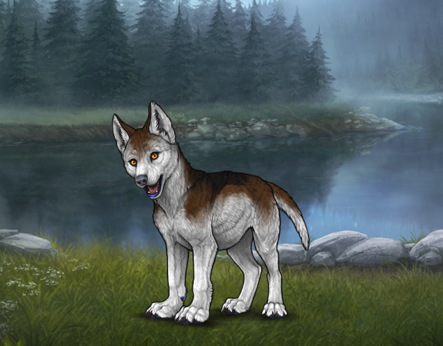 New Puppy |:| Wolvden