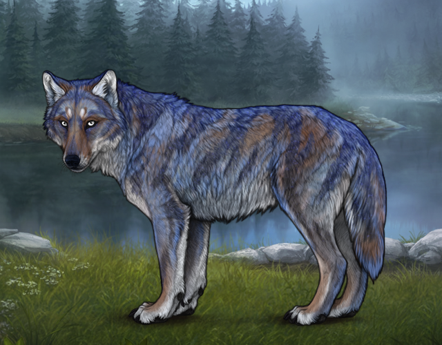 Liver|T1|♀|8M|803s |:| Wolvden