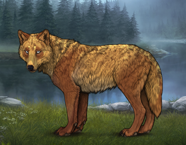 New Puppy |:| Wolvden