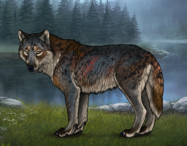 G2 Nocturne 455, Puma, 7M |:| Wolvden