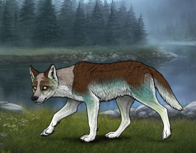 8M T2 G2 |:| Wolvden