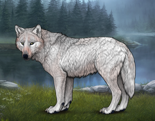 Liluma (20 |:| Wolvden