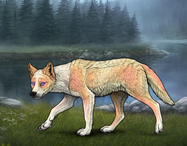 Female 1 |:| Wolvden