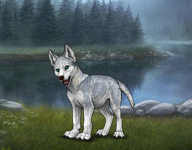 G2 T2 Frontal |:| Wolvden