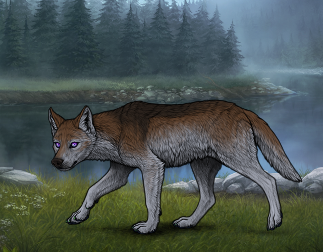 Chased Wolf Spotting - Revamped |:| Wolvden