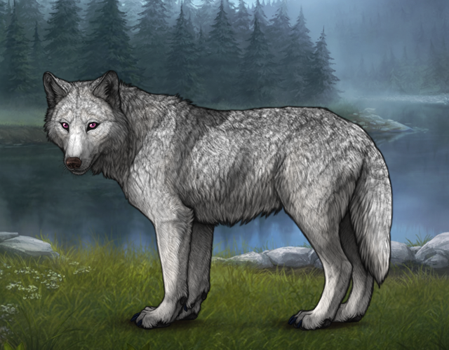 Sacrificial Lamb |:| Wolvden