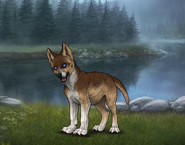 e t1 4m runt |:| Wolvden