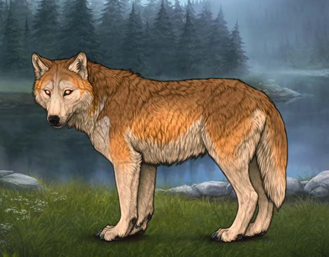 Liver (0.82%) |:| Wolvden